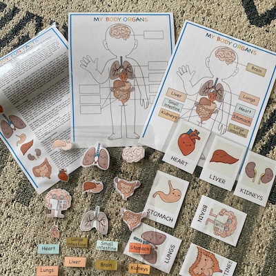 Busy Book My Morning Bundle, Circle Time Printable Preschool Curriculum ...