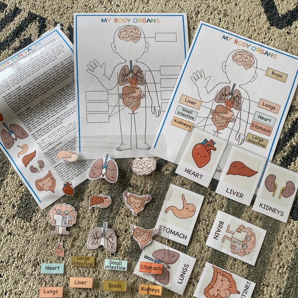 Busy Book - My Morning Bundle, Circle Time Printable Preschool ...