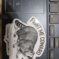 Fight Me Coward Raccoon Sticker, Raccoon Sticker Decal - Etsy