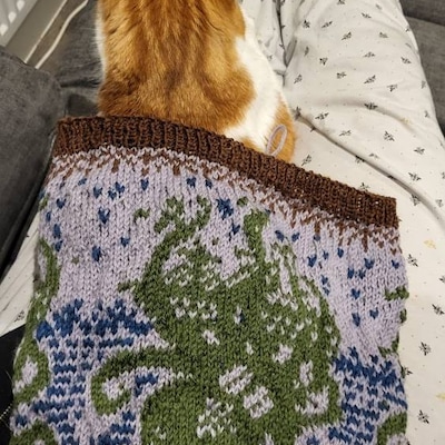 Fossil Frenzy Tee adult Pattern, Knit Dinosaur Unisex Sweater, Digital ...