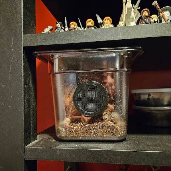 Deluxe Isopod Starter Kit Isopod Terrarium Kit for Isopods With Isopod ...