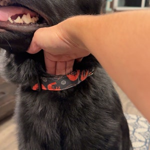 Skull Cat Collars Nautical Cat Collar Skull Cat Harness Pirate Cat ...