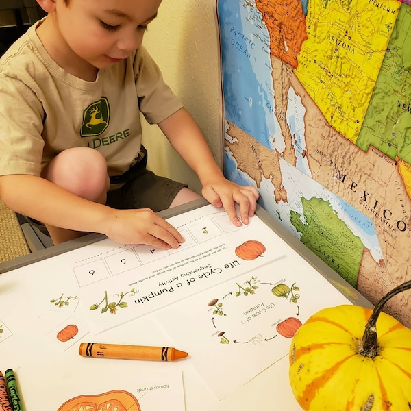 Pumpkin Mini Unit Study - Etsy