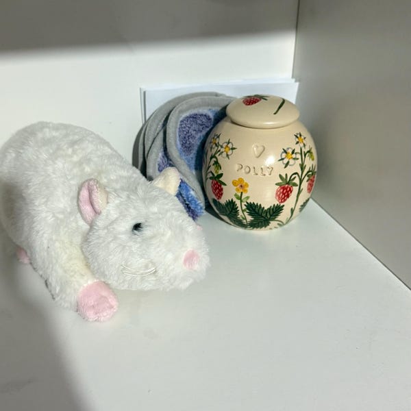Strawberries Cat Urn, Wild Strawberries Dog Urn for Animals, Floral - Etsy