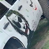 Horror Theme, Car Livery, Cast Vinyl Wrap, Universal Size, Car Wrap ...