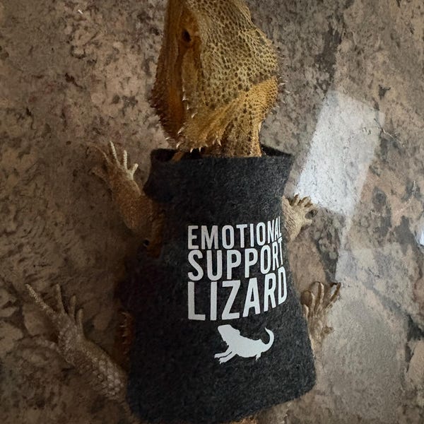 Bearded Dragon Candy Corn Costume Sweater, Halloween Lizard Sweater ...