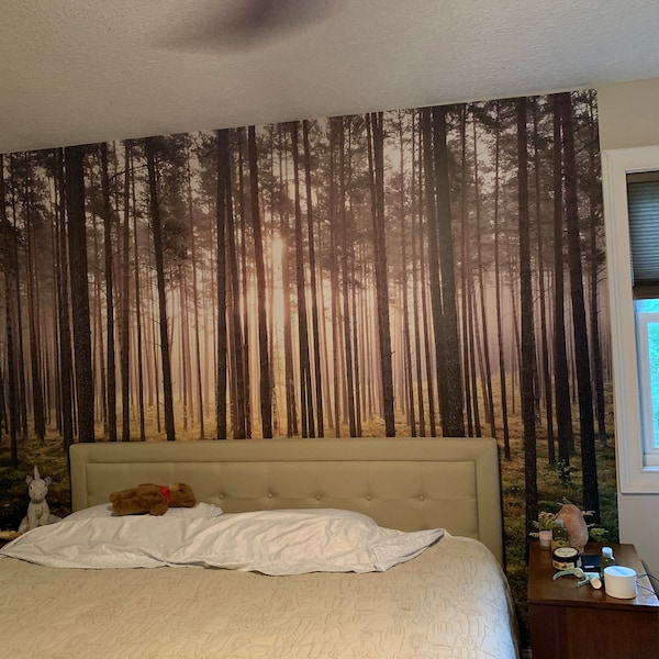 Forest Trees Mural, Nature Forest Mural, Forest Wallpaper ...