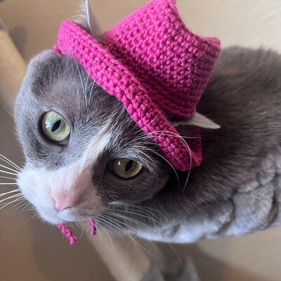 Alien Cat Costume Toy Story Alien Cat Hat Crochet UFO Cat - Etsy