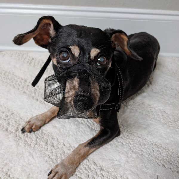 Smuzzle: A Soft Muzzle That Lets Your Dog Smile - Etsy