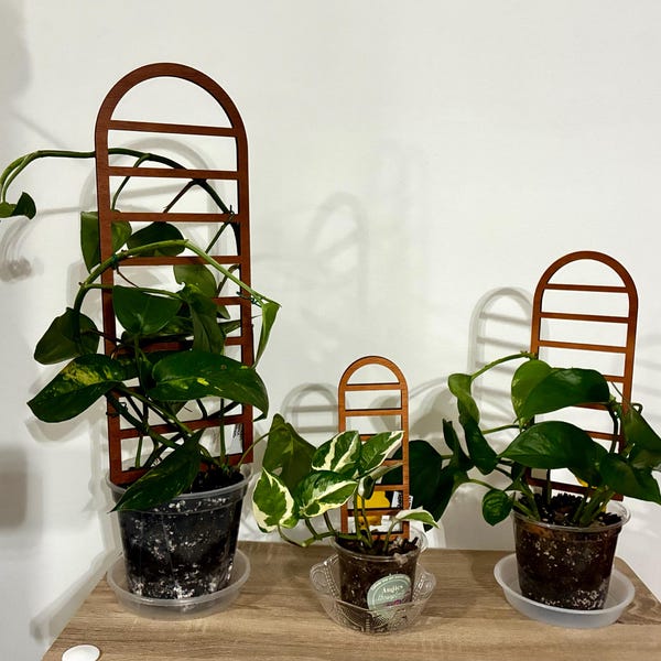 Ladder Arch Indoor Plant Trellis (3 Sizes for 2-6" Pots) | Mini & Small ...