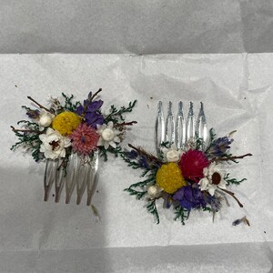 Mini Gyp, Filler Flowers, Preserved Flowers, Flowers, Red, Tan, Orange ...