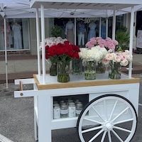 Classic Event Cart buy or Rent - Etsy Canada