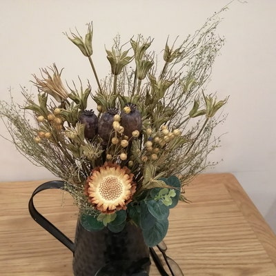 Nigella Pods Bunch Dried Seed Pods Love in a Mist Pods Nigella ...