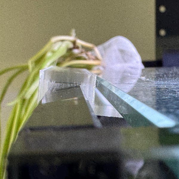 Aquarium Lid Clips for Rimless Tanks - Multiple Thickness Options - Etsy
