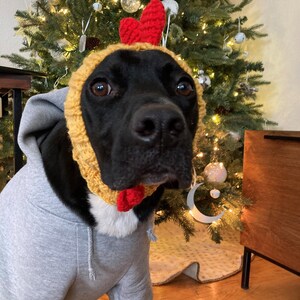 Rooster Chicken Dog Snood Knit Crochet Dog Hat Easter Dog Costume Ear ...