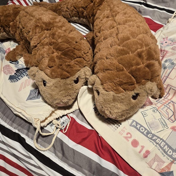 Pangolin Plush - 4lbs Weighted - Etsy