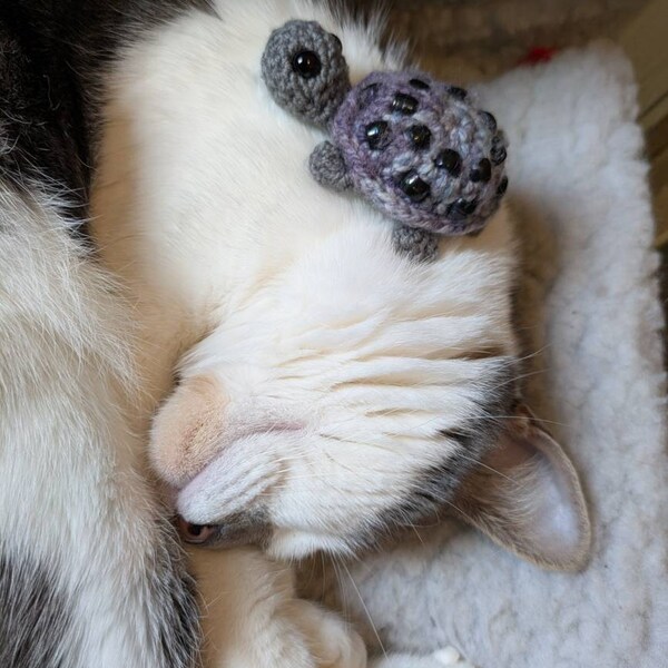 Beaded Fidget Turtle Crochet Pattern | Crochet Fidget Toy | Fidget ...