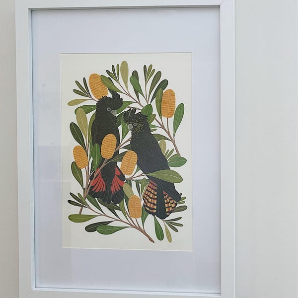 BRONTE KESTREL | Nature Print | Gallery Wall | Australia | Bird Print ...