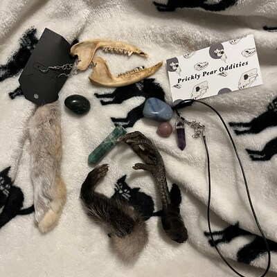 Atlas Moth, Framed Taxidermy Moth Display, Insect Wall Art, Natural ...