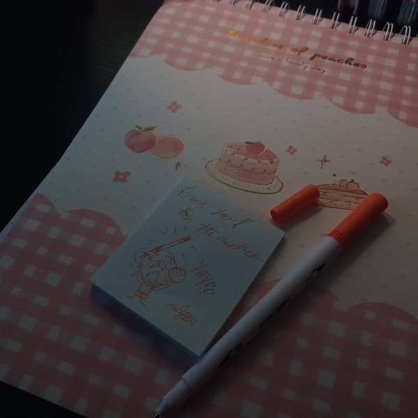 Cute Pink Peach File Folder 13 Pocket Folder Decorative Document Keeper ...