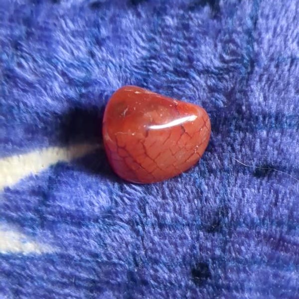 Nettle Leaf | Dried Stinging Nettle Cut & Sifted | Urtica Dioica - Etsy