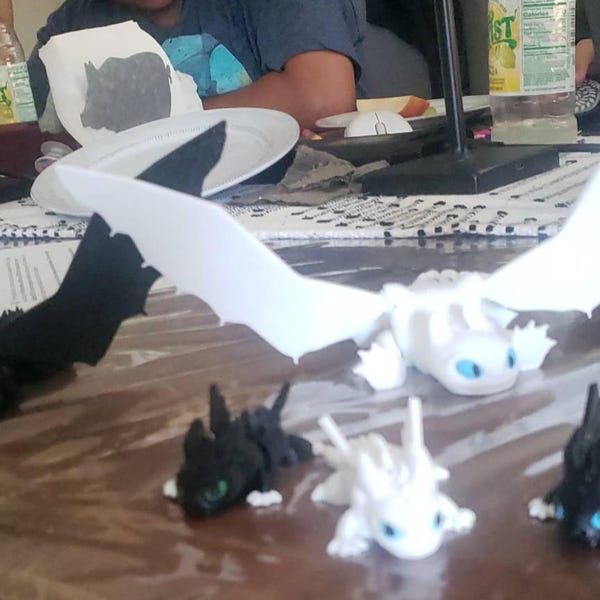 Flexi Toothless Family Figure: 3D Printed HTTYD Dragon - Etsy