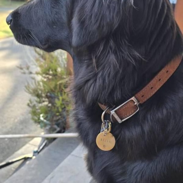 Dog Tag Canada / Dog Tag / Custom Tag/ Dog Collar Personalize / Metal ...