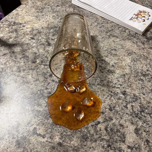 Realistic Fake Turkey - Etsy