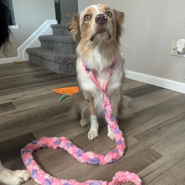 Custom Ribbon Display, Dog Award Ribbon Display Rack, Dog Rosette ...