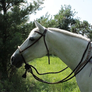 Rope Halter & Mecates Natural Horsemanship Hackamore 21 Colors 2 or 4 ...