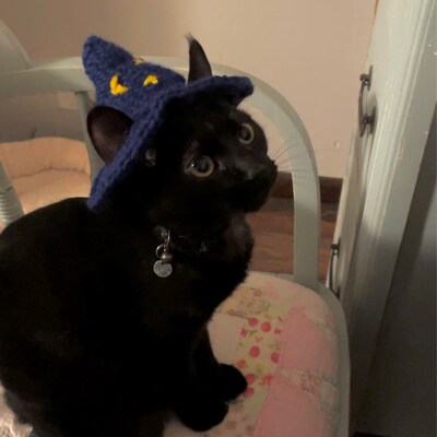 Magical Wizard Hat Written Crochet Pattern Halloween Crochet Hat for ...