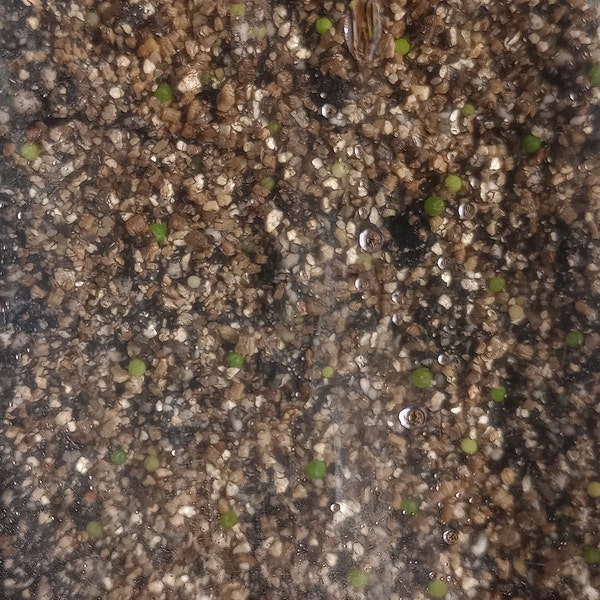 Easter Spring April Classroom Door Decor and Bulletin Board Kits Print ...