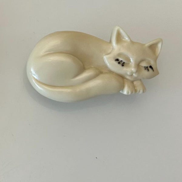 A Beautiful Sleeping Cat! Ivory or Black Cat Brooch- Bakelite ...
