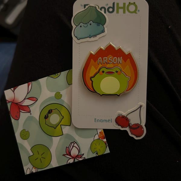 Arson Frog Hard Enamel Pin - Etsy