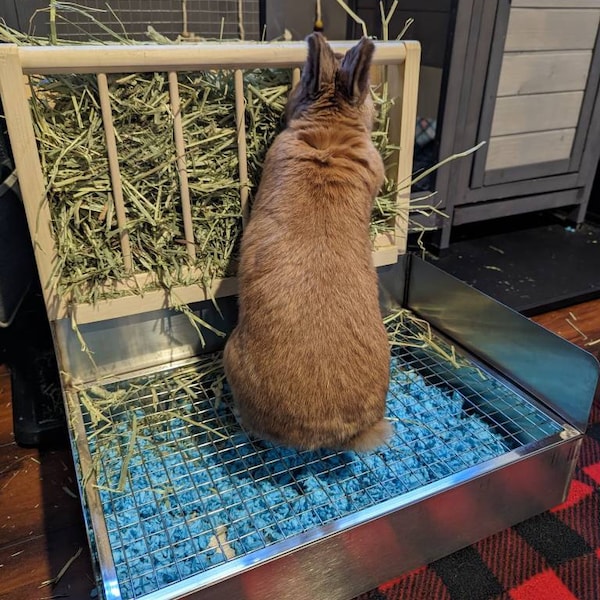 Stainless Steel Litter Box Wood Hay Feeder and Food Bowl Stand 3 in 1 ...