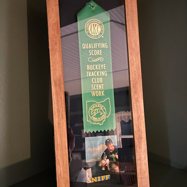 42 X 14 X 2 1/2 Wooden Shadow Box / Hinged Glass Lid / Display Case Box ...