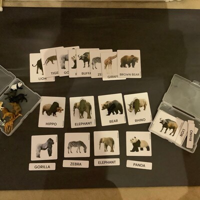 Wild Animals Montessori 3 Part Cards Montessori Home School Educational ...