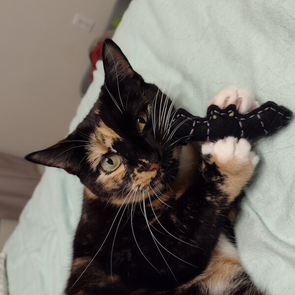 Berry Pie Catnip Filled Cat Toys - Etsy