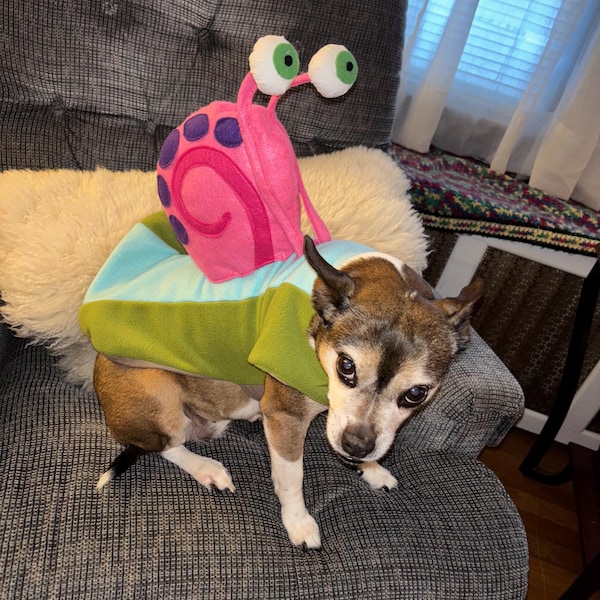 Princess Peach Dog Costume, Mario Kart Costume, Halloween Dog Costume ...