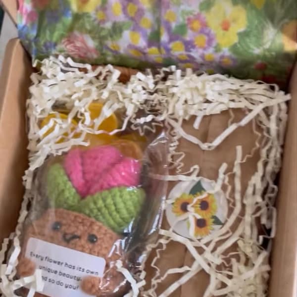 Emotional Support Plant Gift Box，sending Sunshine Gift ,warm and Cozy ...