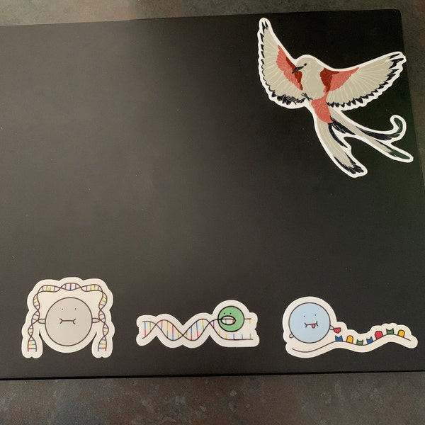 DNA Proteins Sticker Pack - Etsy