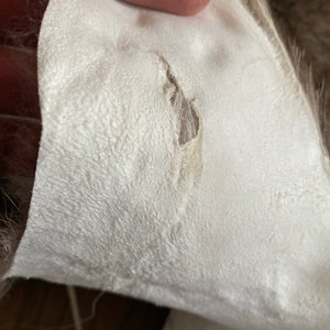 Real Giant European Wild Boar Skin Hooves Hide Pelt Area Rug Hide ...