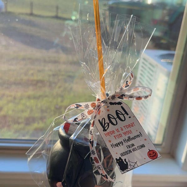 Halloween Favor Tags, Boo Gift Tags, Trick or Treat Favor Tags, Treat ...