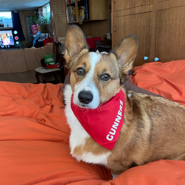 Arsenal Dog Bandana Football AFC Gunners Slide Collar Neckerchief - Etsy