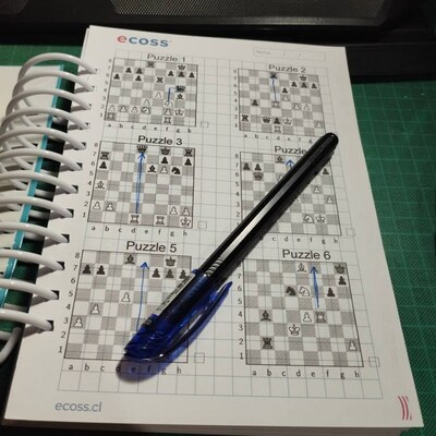 Shikaku Puzzles Printable PDF Bundle of 1200 Japanese Puzzles With ...