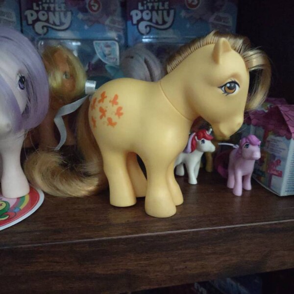 My Little Pony Round N Round G3 - Etsy
