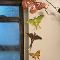 Realistic Paper Butterflies Double-sided Butterfly Craft - Etsy Canada