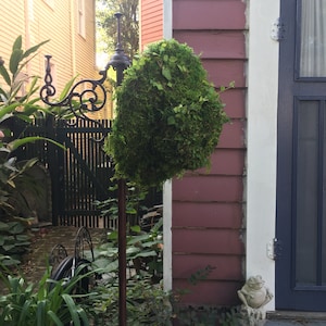 Bunny Topiary Frame - Etsy