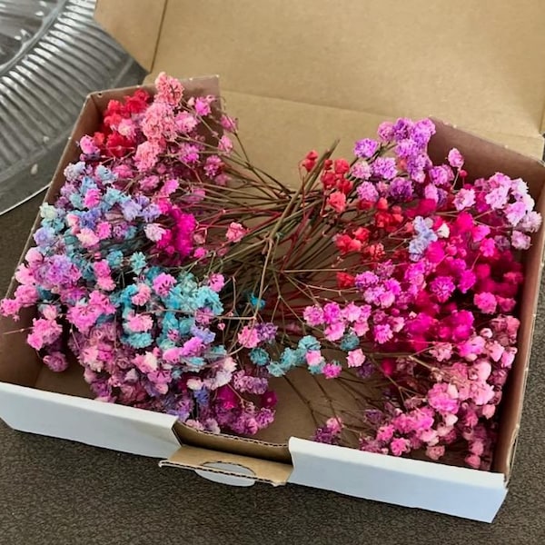 Fresh Eryngium, Natural Blue Thistle, Fresh Thistle, Natural Fresh ...