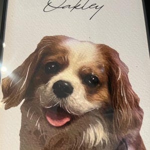 Custom Wrapping Paper Using Pet Photo Personalized Dog Christmas ...